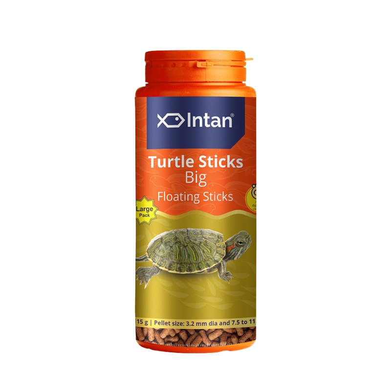 Intan Turtle Sticks Big Floating Sticks – Something Fishy