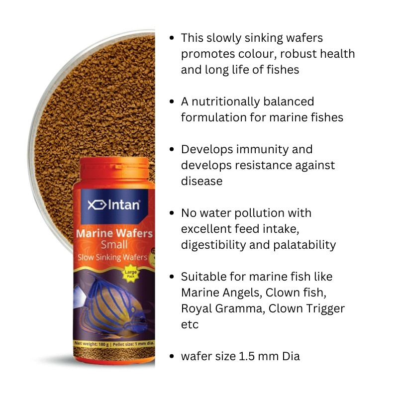 Intan Marine Wafers Small-Slowly Sinking Wafers – Something Fishy