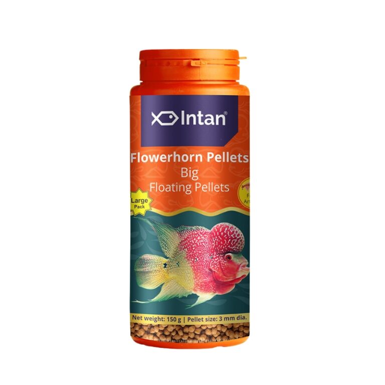 Intan Flower Horn Pellets Big – Floating – Something Fishy