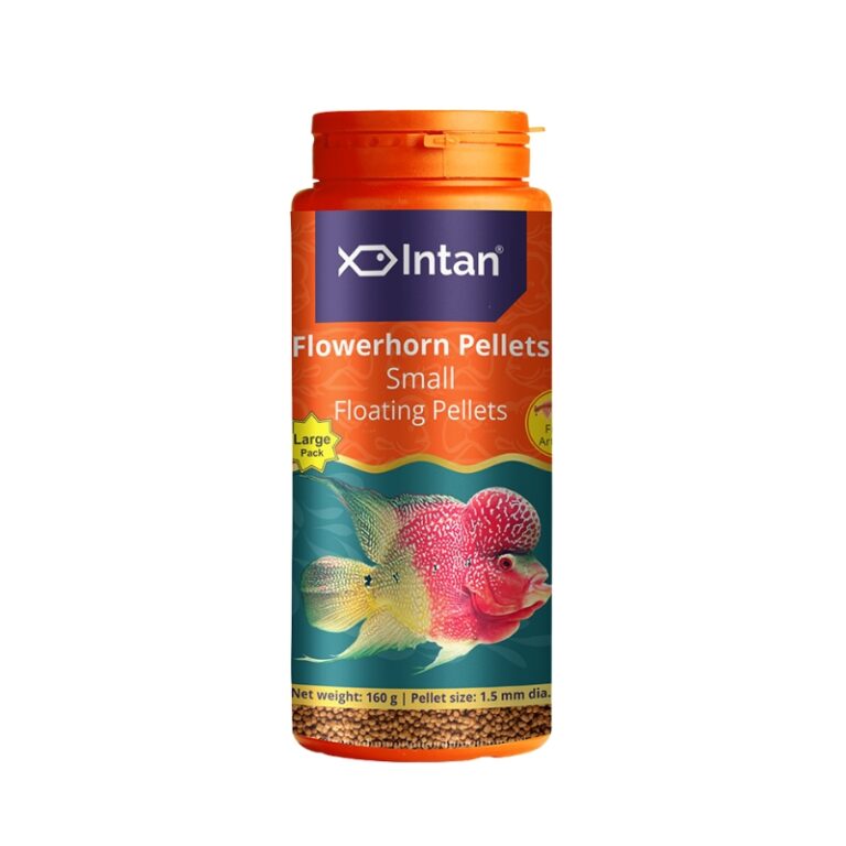 Intan Flower Horn Pellets Small – Floating Pellets – Something Fishy