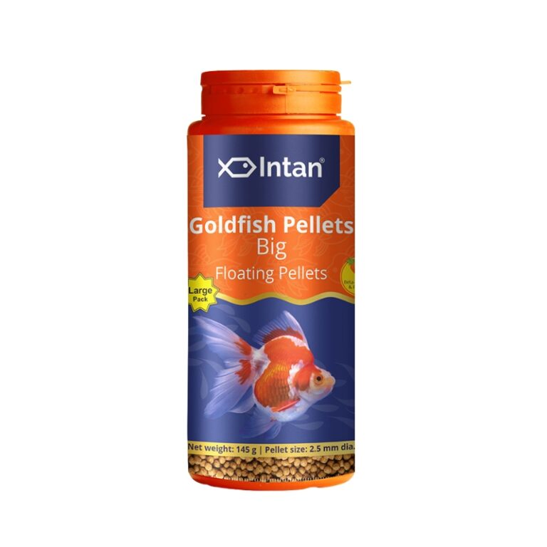 Intan Gold Fish Pellets Big – Floating Pellets – Something Fishy